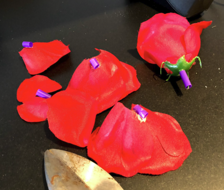 Build Your Own Enchanted Rose Prop – steve murch